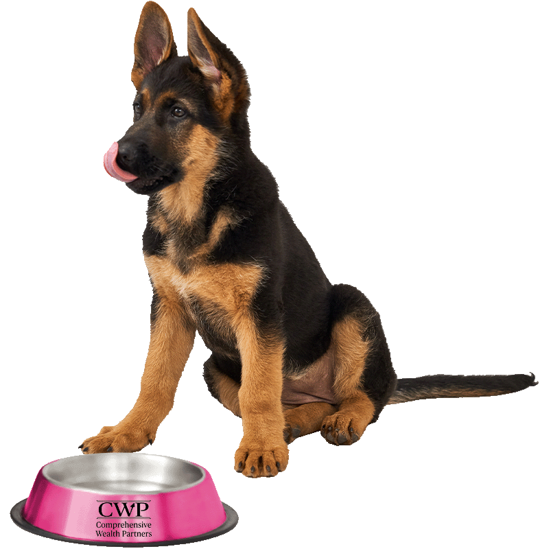 Custom Dog Bowls Wholesale from $3.69 | 4inBandana®